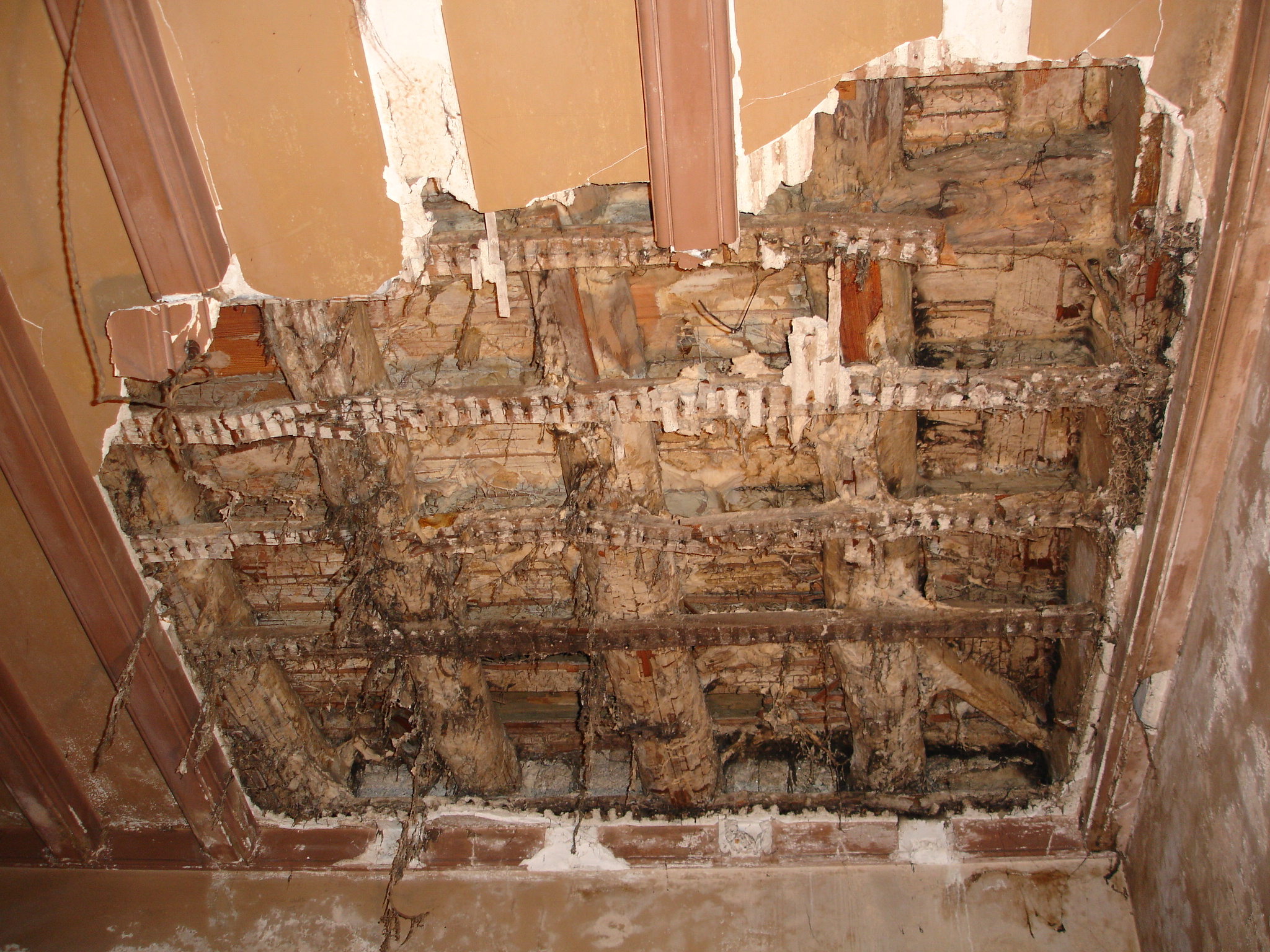 Perda de estuque e fasquio d de teto, devido à presença de fungo - ICS ...